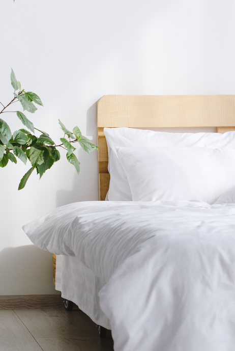 Best Way to Keep Your Bed Clean – Pure Parima